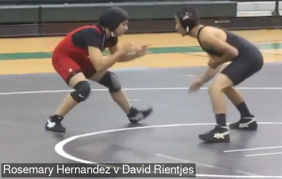 Beating the Boys: My Journey as a Girl Wrestler – Sisterhood of Wrestlers